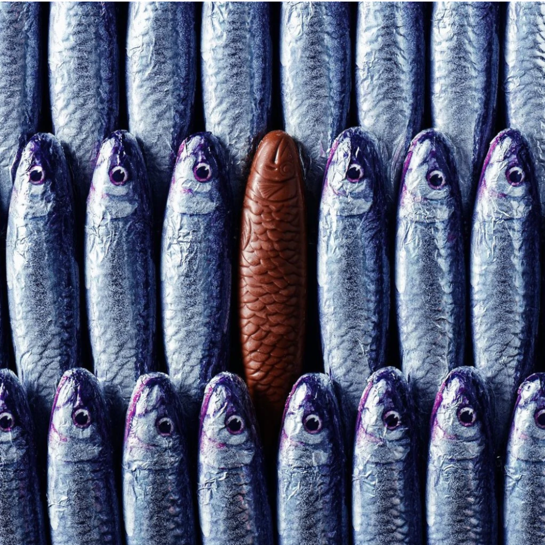 Sardine Tin